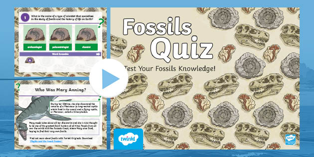 Test Your Fossils Knowledge KS2 Quiz PowerPoint | Twinkl