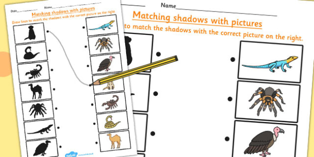 Desert Animals Shadow Matching Worksheet (teacher made)