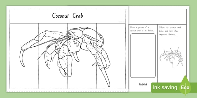 Coconut Crab Flapbook (teacher made)