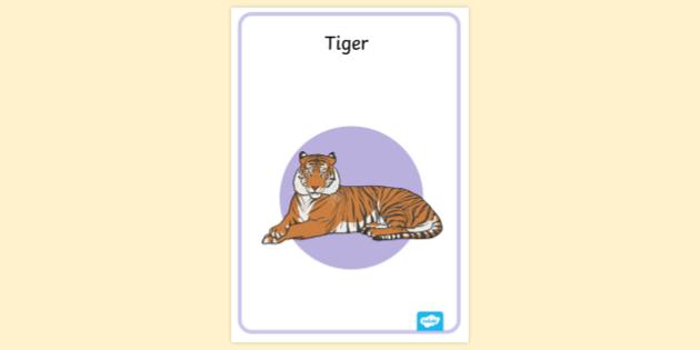 FREE! - Tiger Poster | Display Posters | Primary Resources