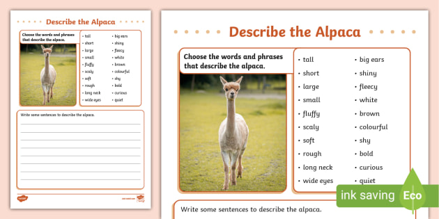 Describe the Alpaca Writing Activity (teacher made)