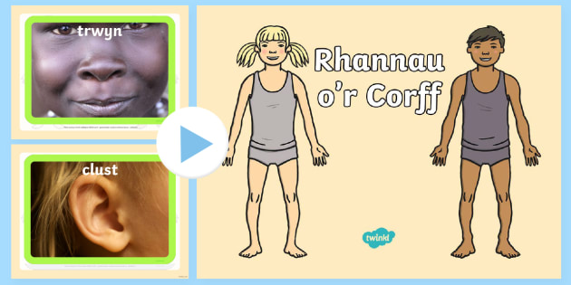 Welsh Body Parts PowerPoint | Welsh Teaching Resources