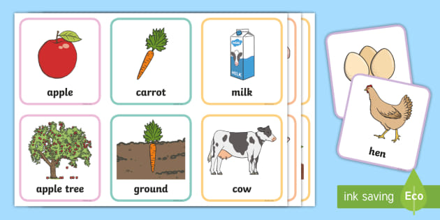 Food Origins Matching Cards