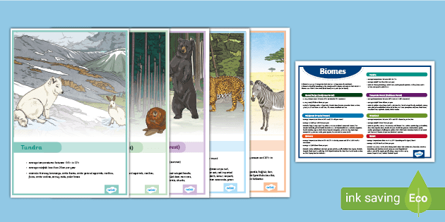 Animals from Each Biome Poster Pack | HASS Geography
