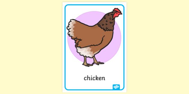 FREE! - Chicken Display Poster | Primary Resources