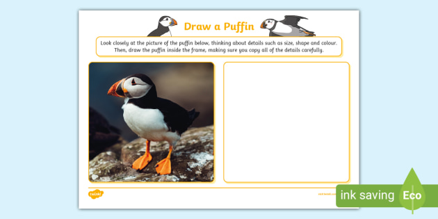 Draw a Puffin Art Activity,puffin,puffin art (teacher made)