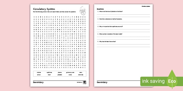 Circulatory System Word Search | AQA GCSE Biology | Beyond