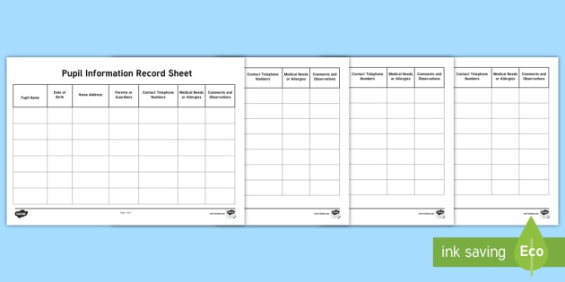 Pupil Information Record Checklist (teacher made)