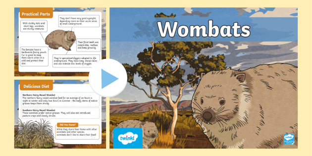 Wombat PowerPoint