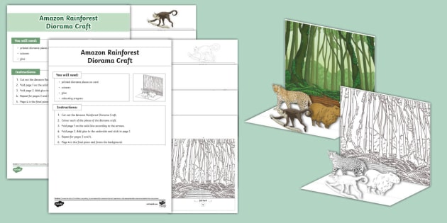 Amazon Rainforest Diorama
