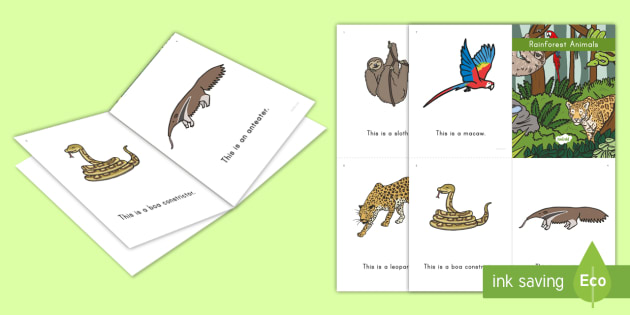 Rainforest Animals Emergent Reader - emergent reader, rainforest