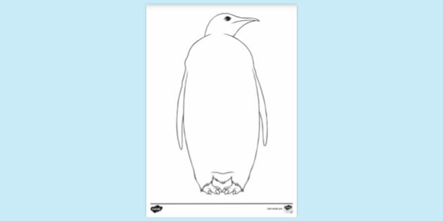 Adult Emperor Penguin Colouring Sheet | Colouring Sheets