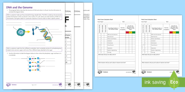 Biology Paper 2 Revision: Unit 6 Inheritance, Variation & Evolution Key ...