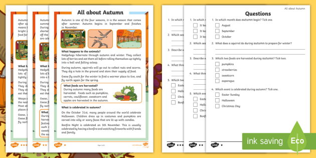 All About Autumn Differentiated Reading Comprehension Pack
