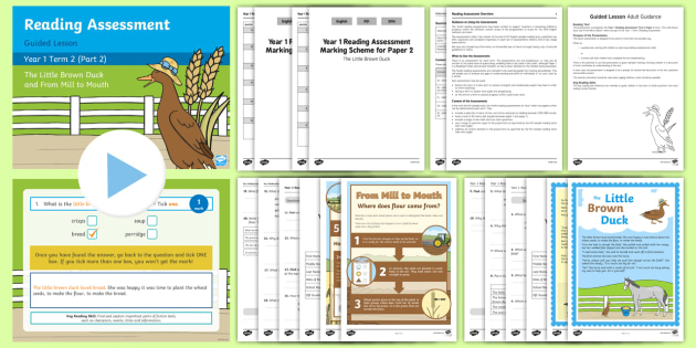 Year 1 Term 2 Paper 2 Reading Assessment Guided Lesson Teaching Pack