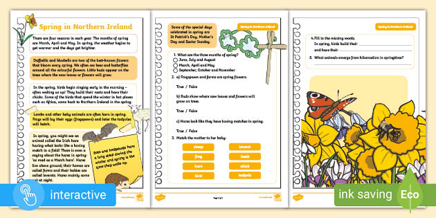 Spring Primary 3 Reading Activity (teacher made)