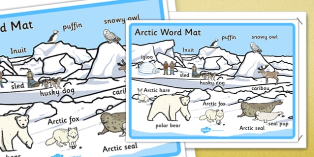 Arctic Scene Word Mat - arctic, vocabulary mat, word mat, key words, topic