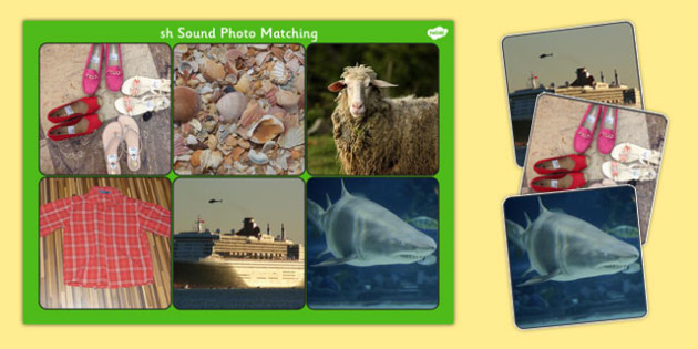 Initial 'sh' Sound Photo Matching Board and Cards - matching