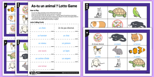 French As Tu Un Animal Lotto Game