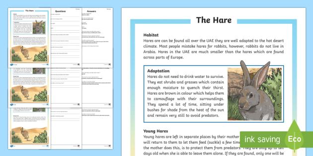Hare Differentiated Reading Comprehension Activity