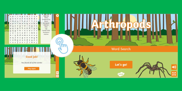 Interactive Arthropod Themed Word Search