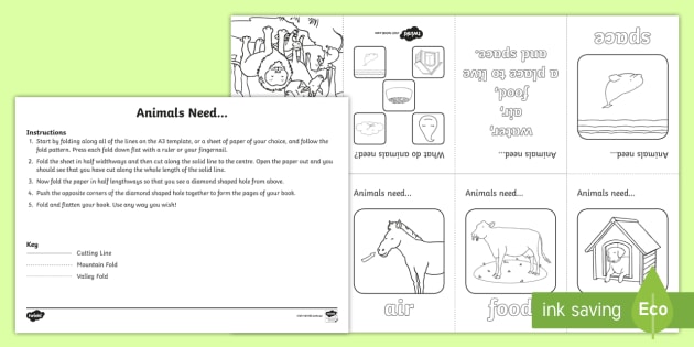Animal Needs Booklet (teacher made)