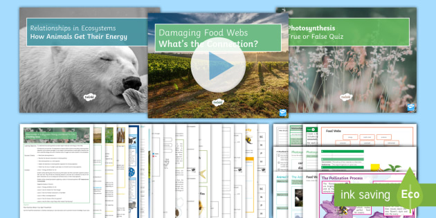 Relationships in Ecosystems Activity Pack - Beyond Secondary