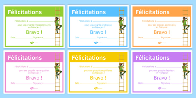 French End of Year Progress Award Certificate (teacher made)