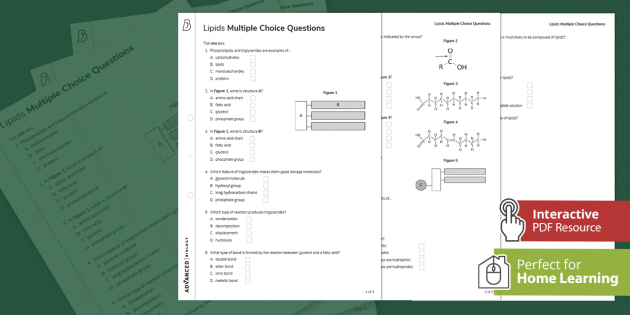 Lipids Multiple Choice Questions | A Level Biology | Beyond