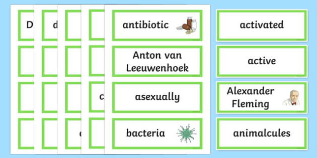 Marvellous Micro-Organisms Word Wall Display Cards