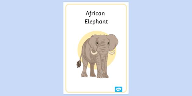 FREE! - African Elephant Poster | Primary Display Resources | Twinkl