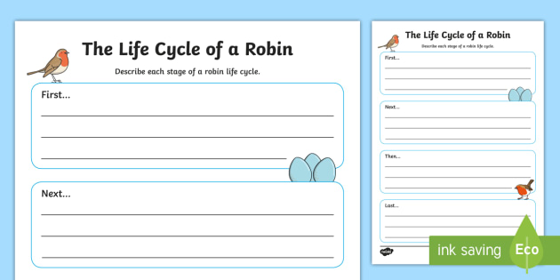 The Life Cycle of a Robin Writing Frame