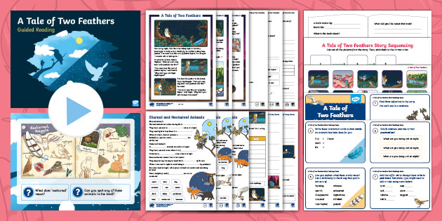 A Tale of Two Feathers Guided Reading Pack