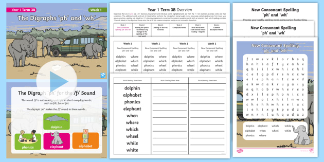 Year 1 Term 3B Week 1 Spelling Pack (teacher made)