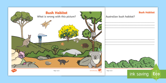What's Wrong with the Bush Habitat? Worksheet / Worksheet