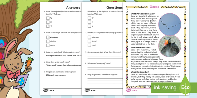 KS1 Geese Differentiated Reading Comprehension Activity