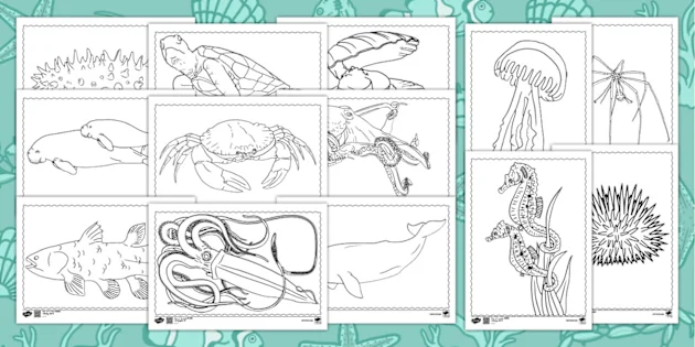 Ocean Creatures Silhouette Painting | Under The Sea Crafts