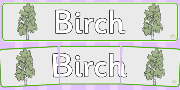 Birch Display Banner - tree, birch, display, banner, woods