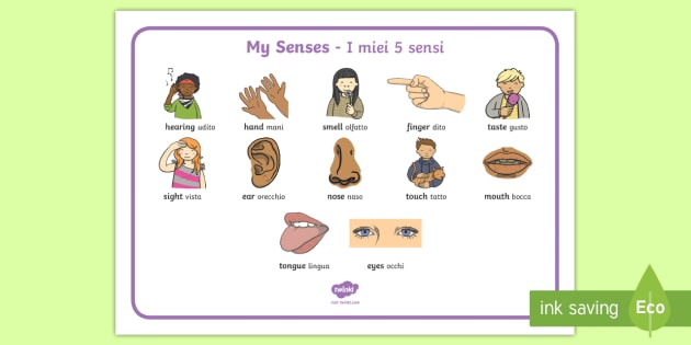 My Senses Body Parts Word Mat English/Italian - My Senses KS1 Body ...