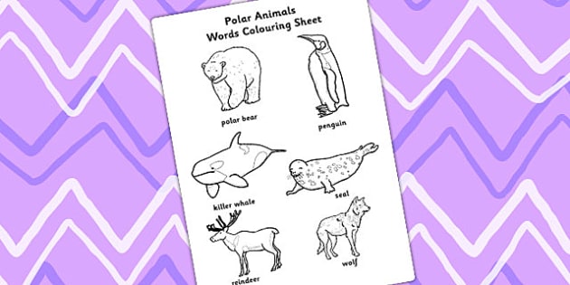 Polar Animals Words Coloring Sheet - polar, animals, color