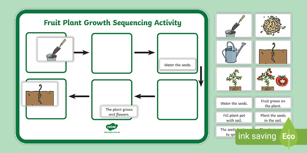 Plant Growth Sequencing Activity
