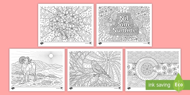 colorado state symbols coloring pages