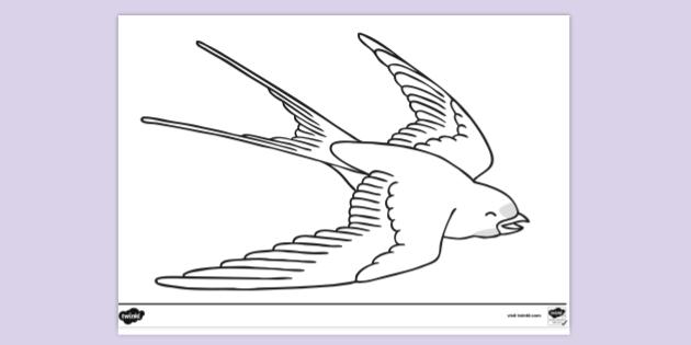 FREE! - Bird Flying_Colouring Sheet (teacher made)
