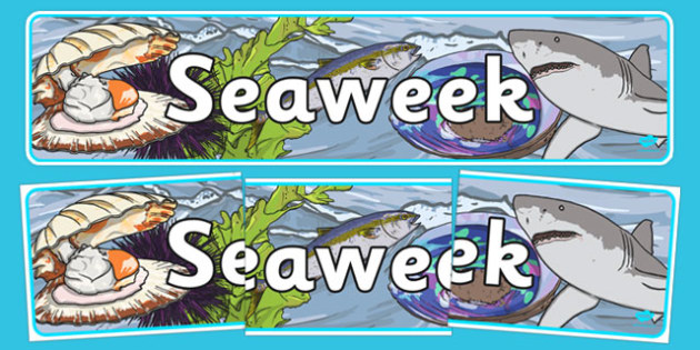 FREE! - Seaweek Display Banner (Teacher-Made)