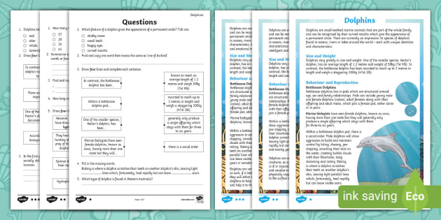 Reading Dolphins | twinkl.com.au