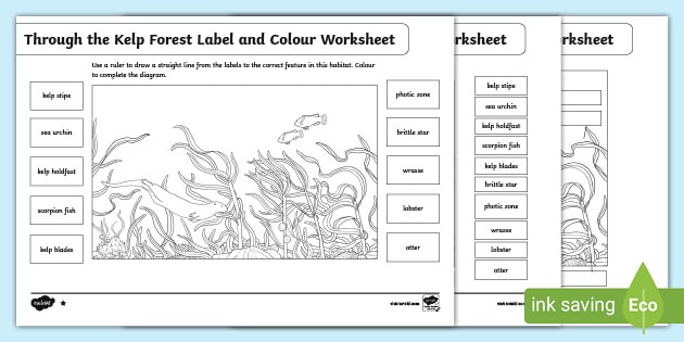 Through the Kelp Forest Label and Colour Worksheet