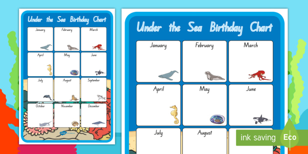 New Zealand Under the Sea Birthday Display Pack
