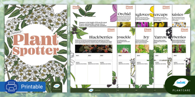 FREE! - Summer Plant Spotter Booklet, Foraging Tracker, Wild flowers