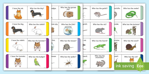 Pets Loop Cards (teacher made)