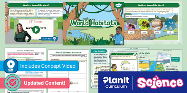 Habitats Ks1 Lesson Plan